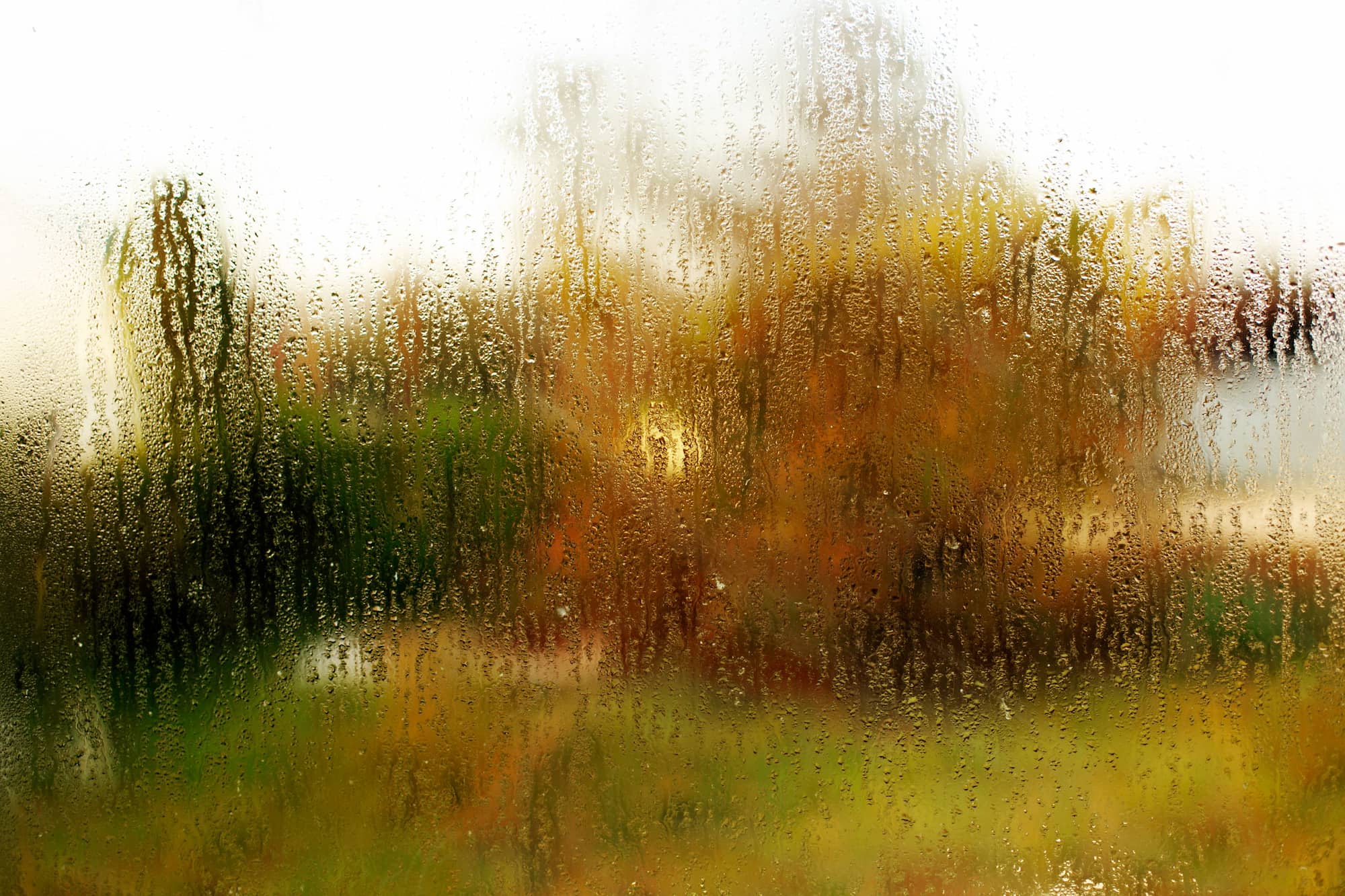 VidenSkaber – Event: Livestreaming: Indeklima og sundhed